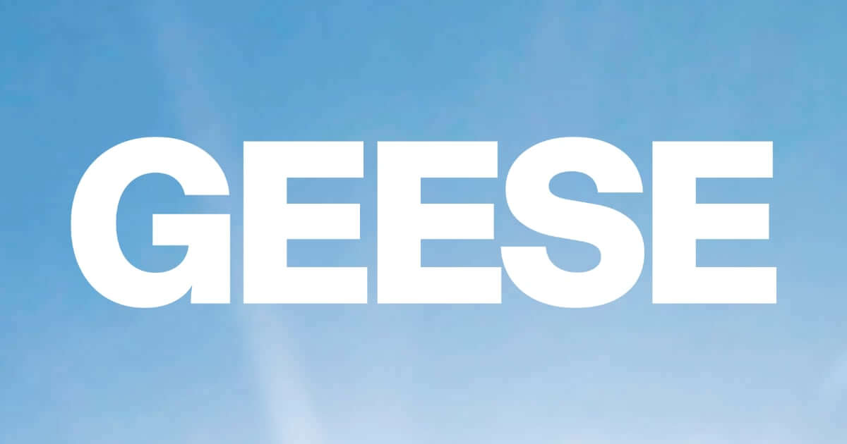 Store – Geese | Official Website